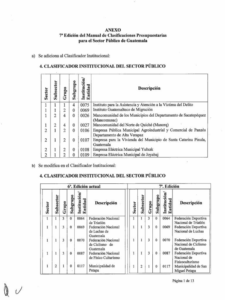 Manual de Clasificaciones Presupuestarias Anexo 7ma edicion | PDF