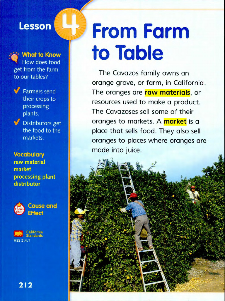 Unit 4 Lesson 4-Review 2nd Grade REF | PDF