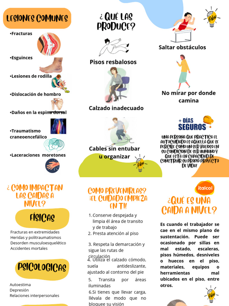 Folleto Caídas A Nivel Pdf