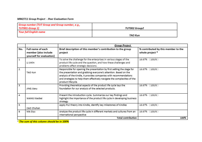 Peer Evaluation for Group Project MM2711 | PDF | Product Lifecycle ...