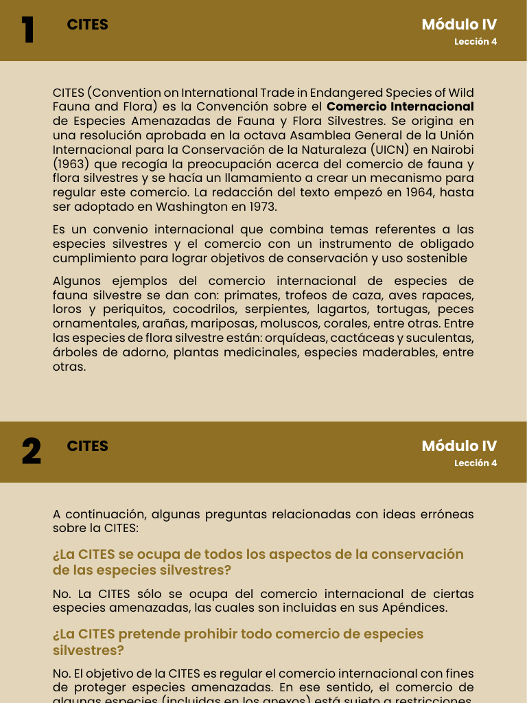 Cites | PDF | Cita