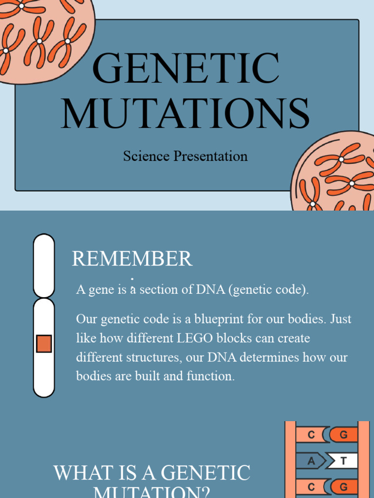 Structure of DNA Science Presentation in Light Blue Green Lined Style ...