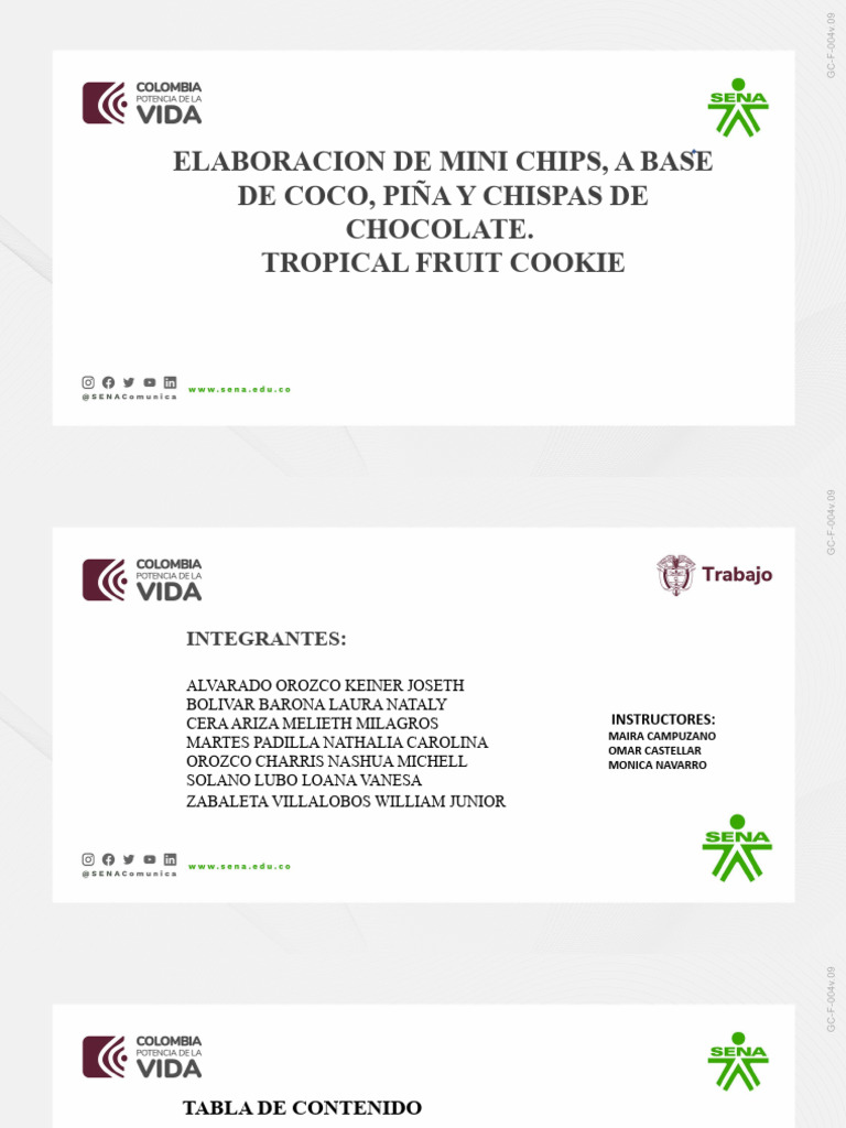 Elaboración de Minichips A Base de Coco y Piña | PDF | Alimentos