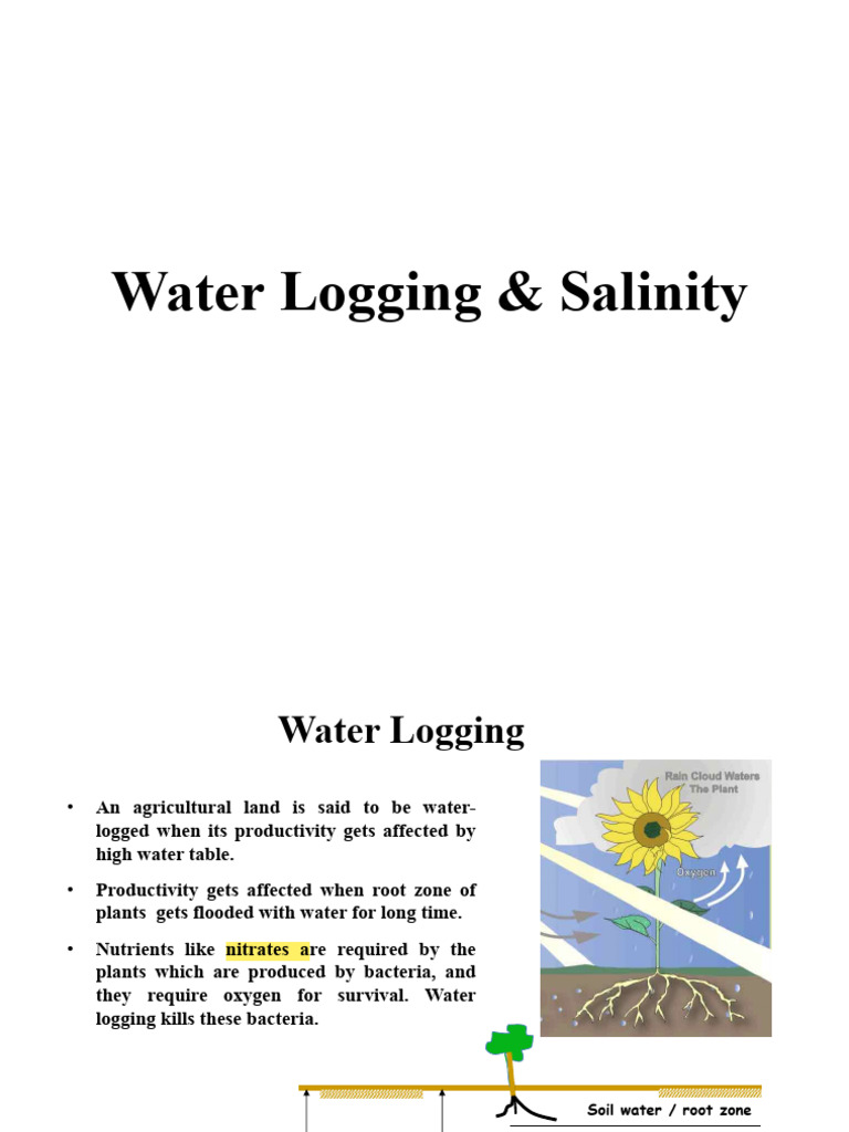 Water Logging and Salinity Explained | PDF | Drainage | Irrigation