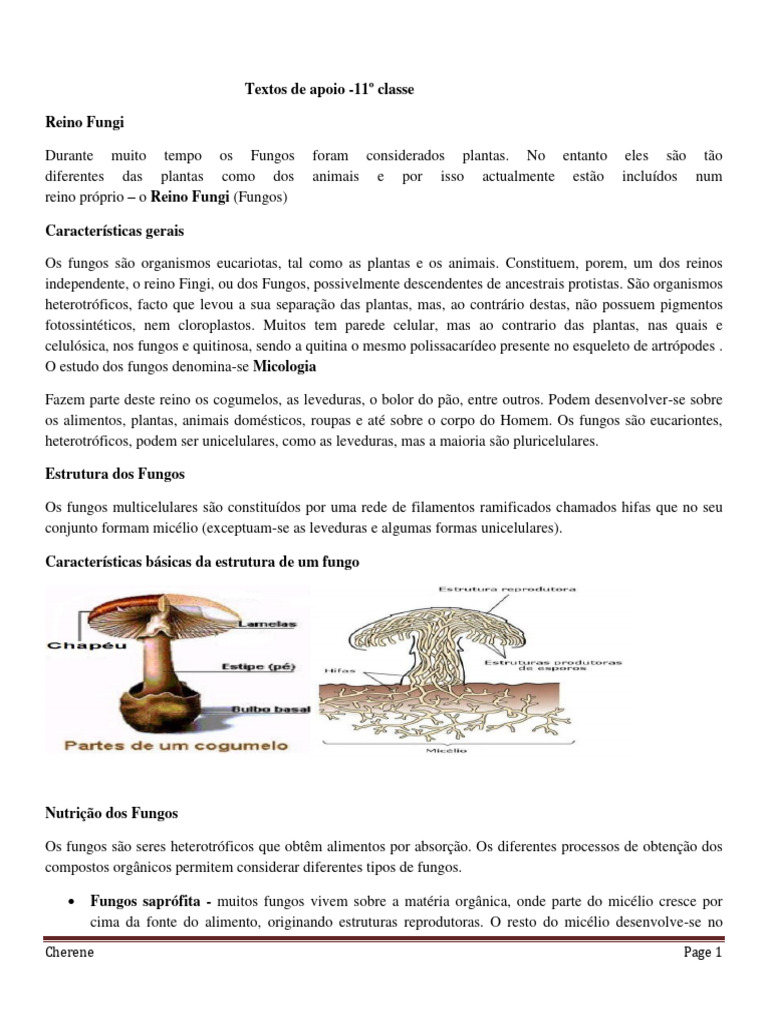 Reino Fungi Actualizado H | Download grátis PDF | Fungo | Reprodução