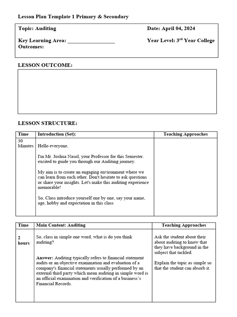 Ins Lesson Plan Template 1 Primary Secondary | PDF | Audit | Computer ...