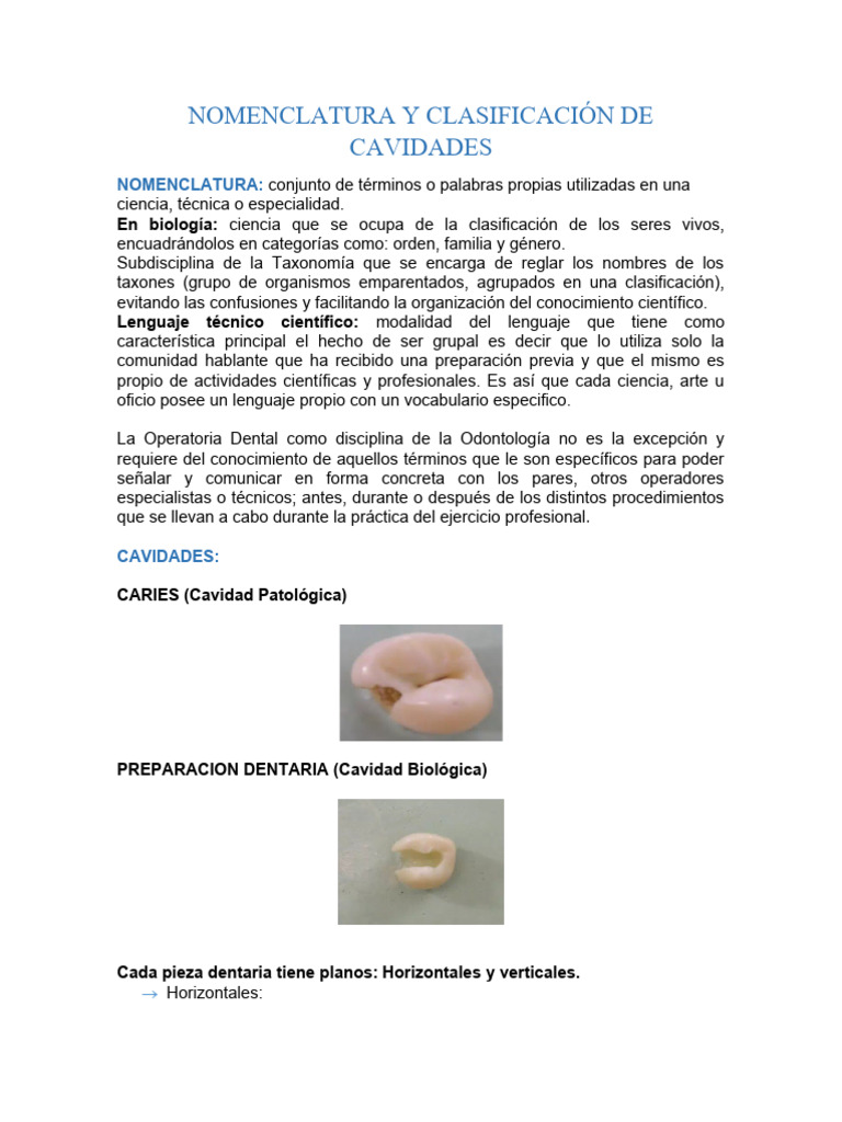 Nomenclatura y Clasificación de Cavidades | PDF | Esmalte de dientes ...