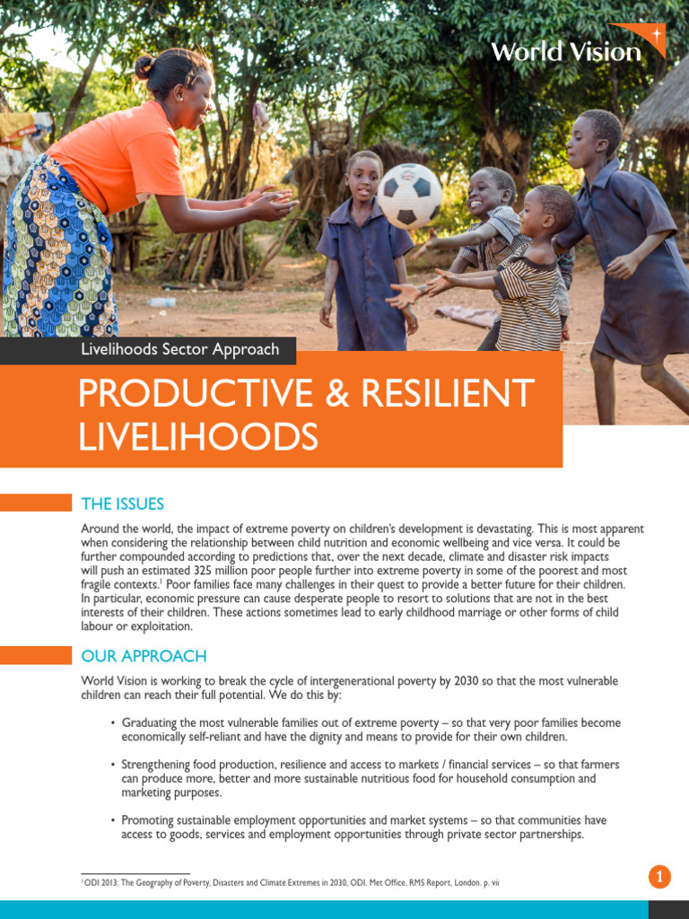 WVI Livelihoods Overview 2019 | PDF | Poverty | Poverty & Homelessness