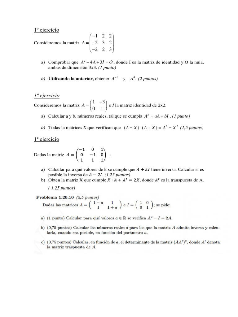 Ejercicios Varios Matrices | PDF