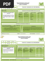 Place Diada Fetal | PDF | El embarazo | Parto