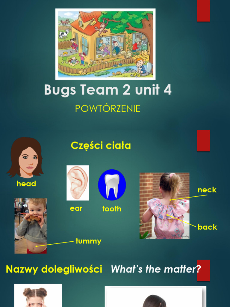 Bugs Team 2 unit 4 powtórzenie | PDF