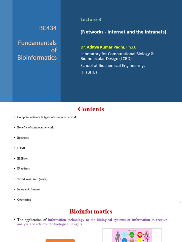 Lecture 3 Networks Intranets Internet | PDF | Computer Network | Internet