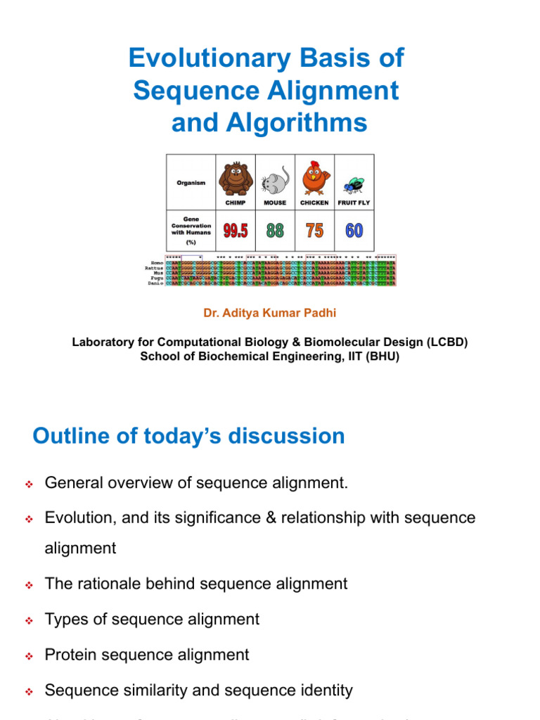 Lecture 6 Evolutionary Sequence Alignment Algorithms Pdf Sequence Alignment Nucleic Acid