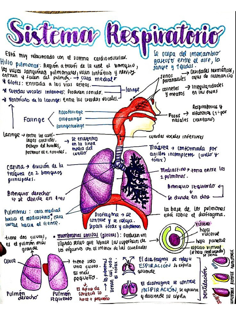 Image To PDF 20240404 12.01.59 | PDF