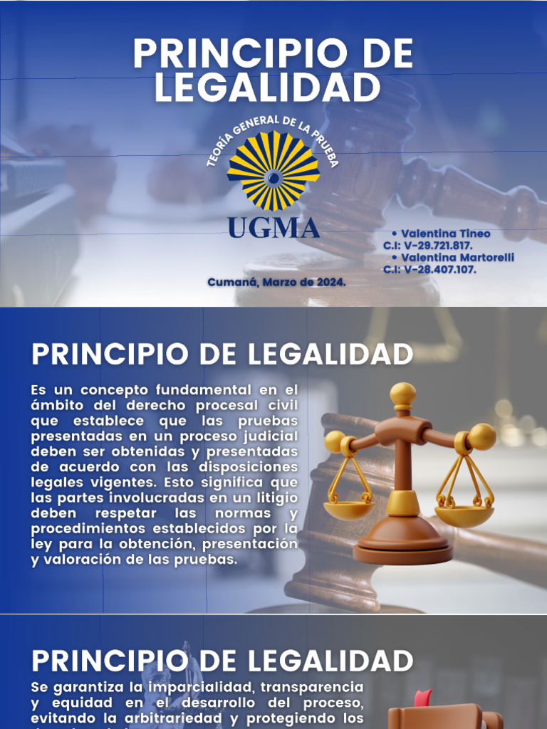 Principio de Legalidad | PDF