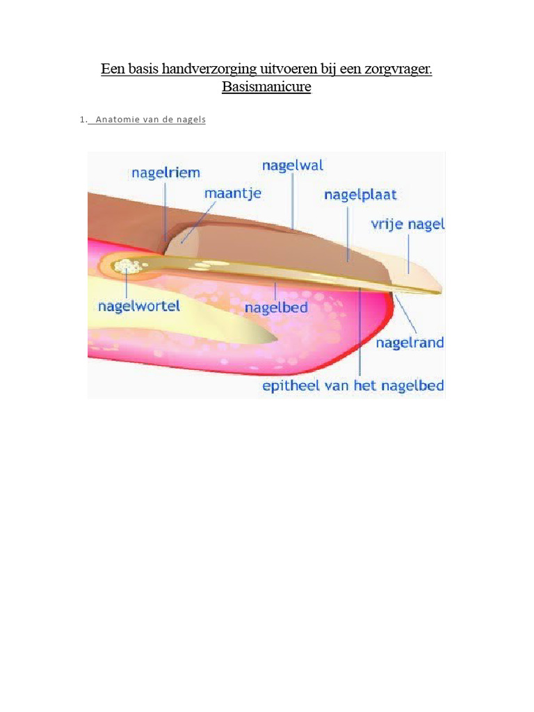 Handverzorging | PDF