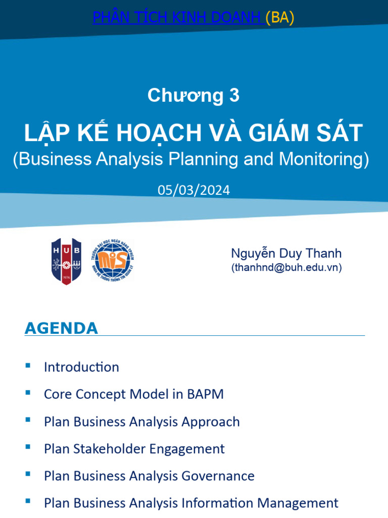 Business Analysis Planning & Monitoring Guide | PDF | Business Analysis | Analysis