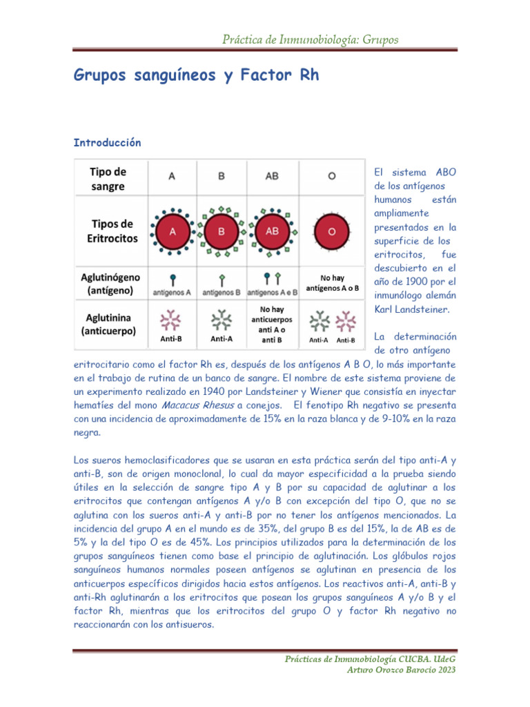 Práctica de Tipaje Sanguíneo y Rh | PDF | Tipo de sangre ...