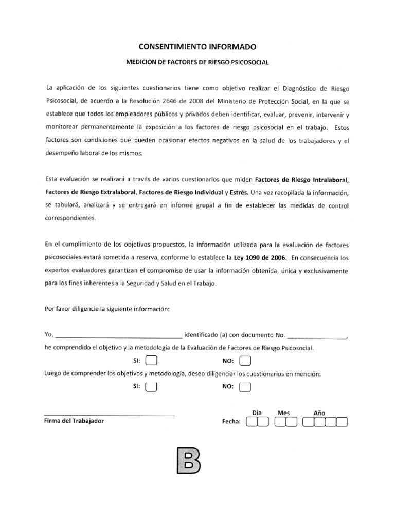 Formato B | PDF