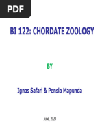 Urochordata Classification Overview | PDF | Chordates