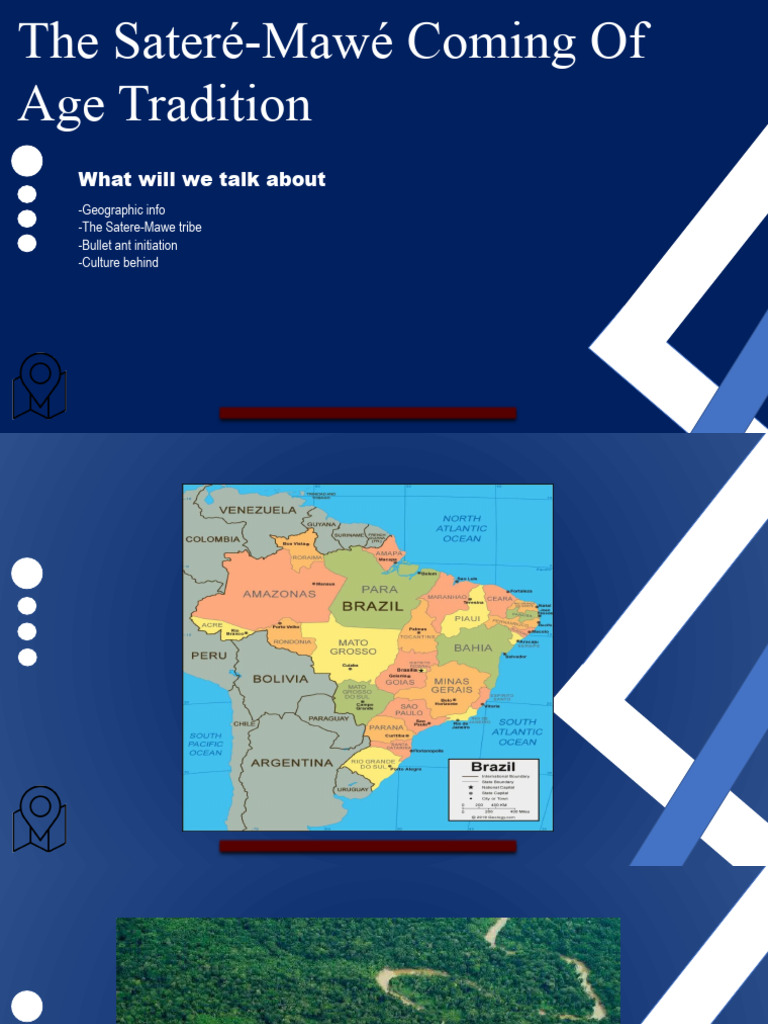 Sateré-Mawé Tribe's Initiation Rituals | PDF