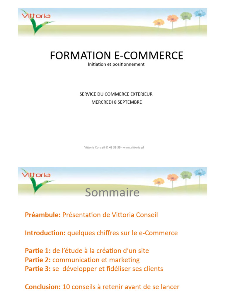 Formation E-Commerce (PDFDrive) | PDF