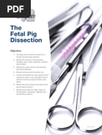 PiG Anatomy | PDF