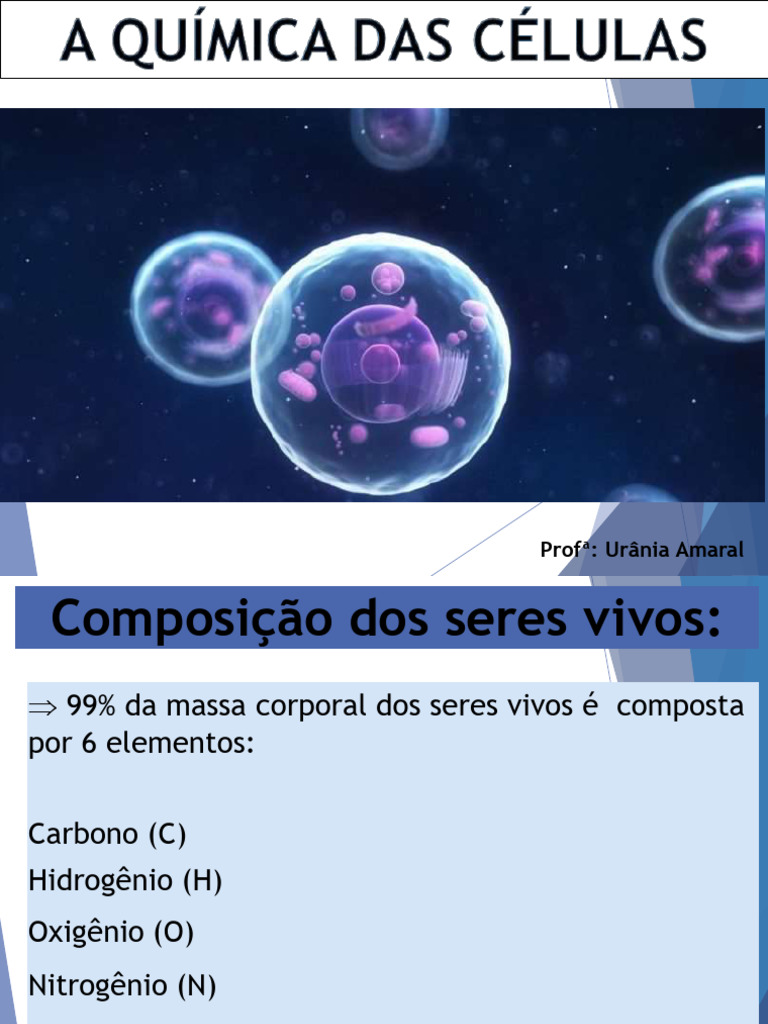 Composição Química Inorgânicos - Água e Sais Minerais EM | Download ...