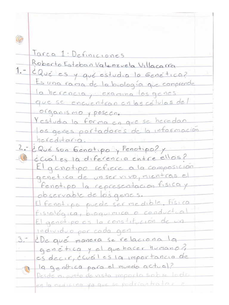 Tarca 1 Definiciones | PDF