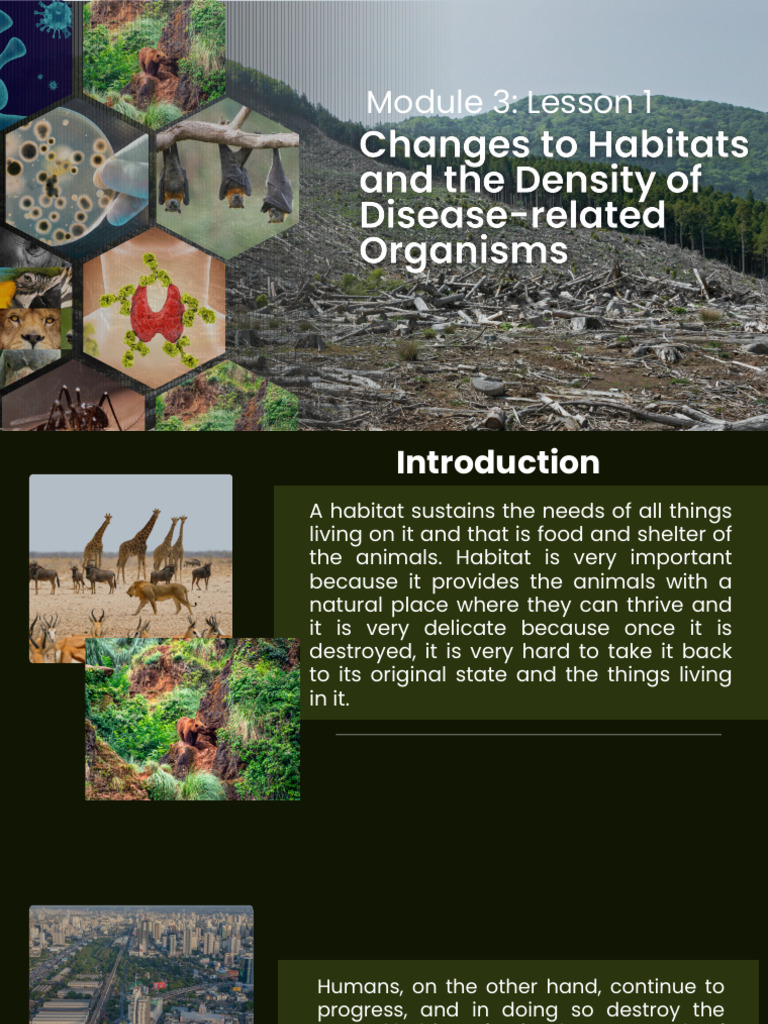 PAGAS_Module 3 - Lesson 1 | PDF | Malaria | Habitat