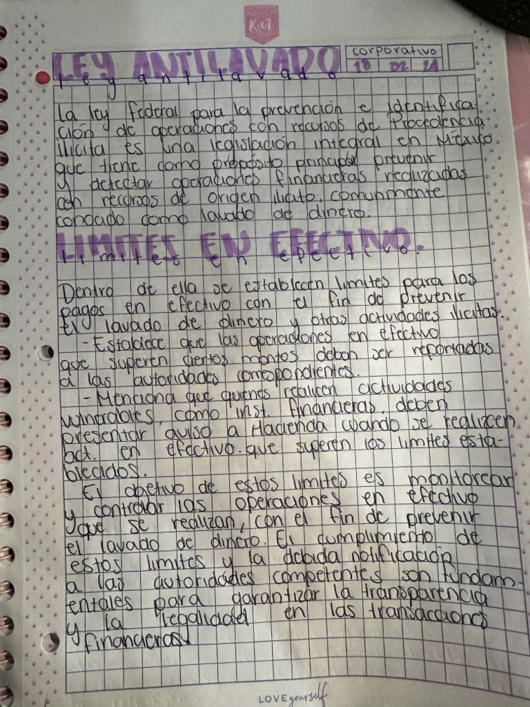 ReporteLeyAntiLavado1 FJOL | PDF