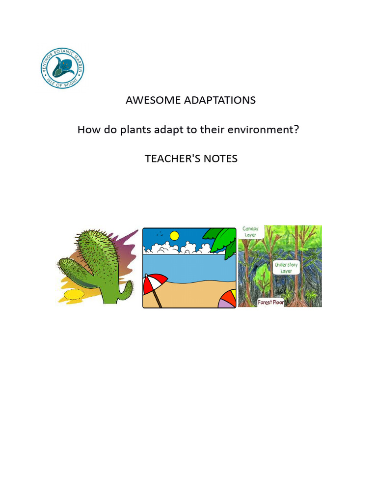 8 1 Tttteachers Notes Awesome Adaptations | PDF | Trees | Rainforest