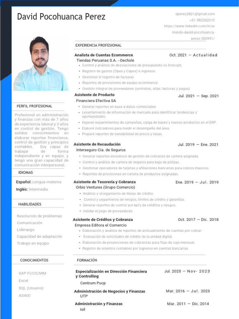 CV David Pocohuanca P | PDF | Comercio electrónico | Industrias de servicio