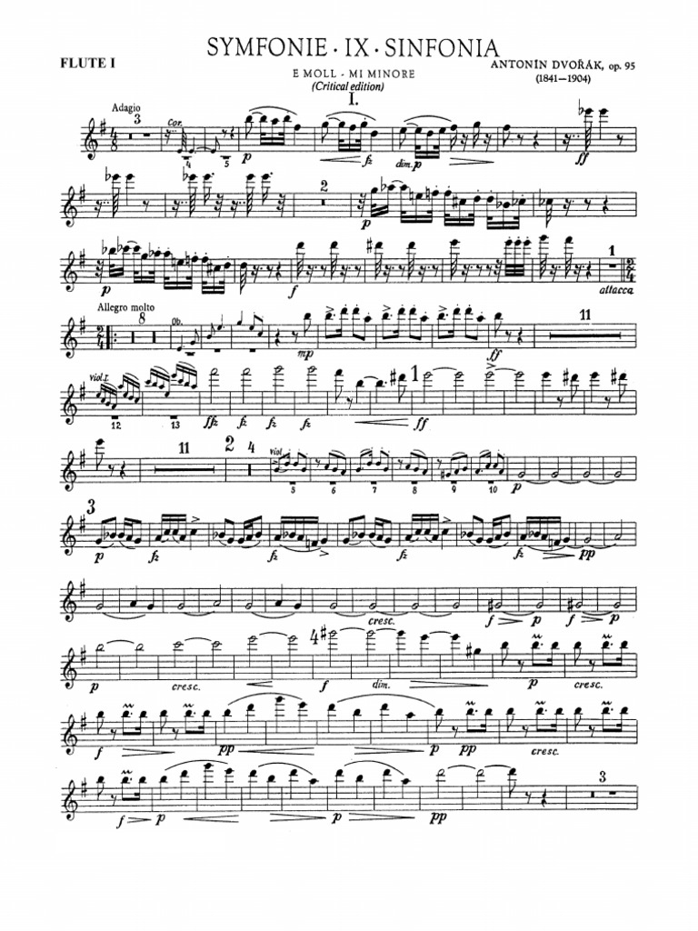 Dvorak - Symphony No. 9 FL 1,2 | PDF