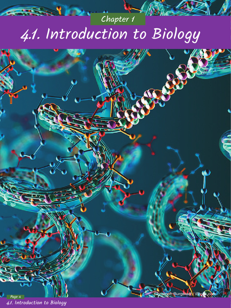 s4 Bio en Workbook | PDF | Cell (Biology) | Organelle