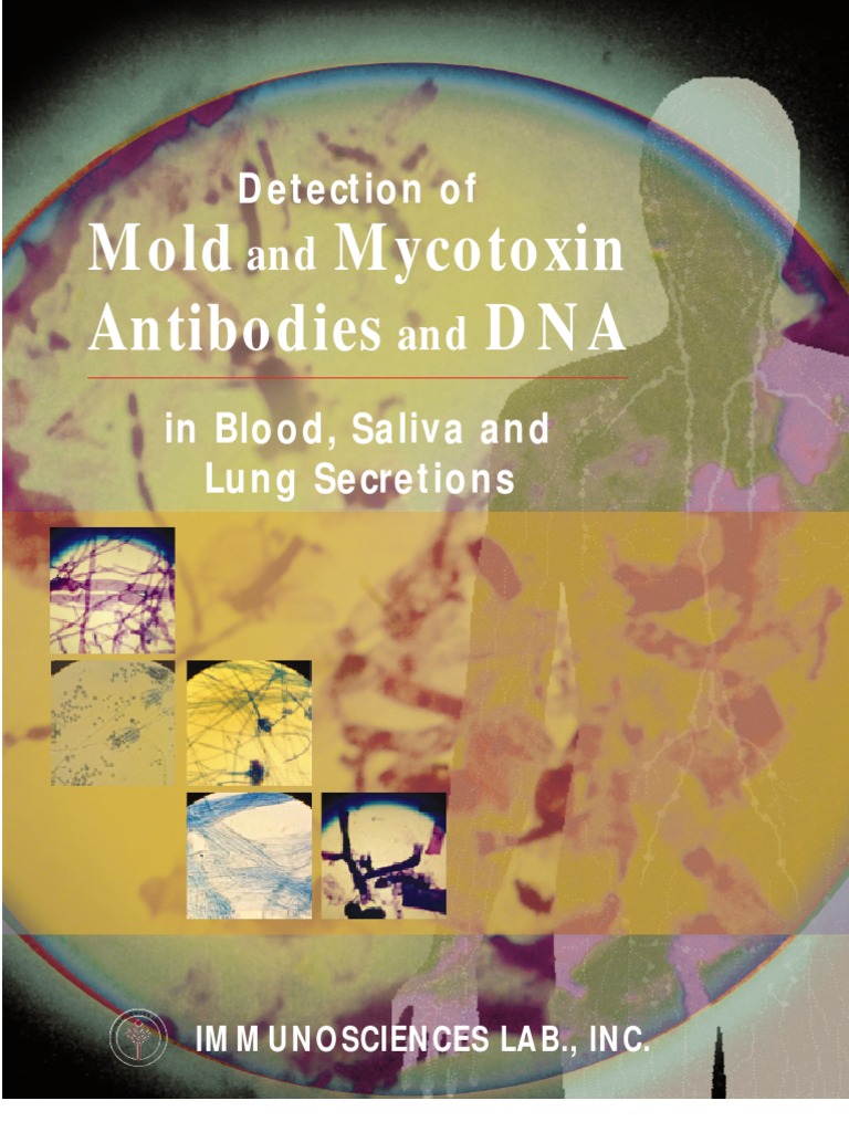 Mold and Ins DNA | PDF | Mold | Mycotoxin