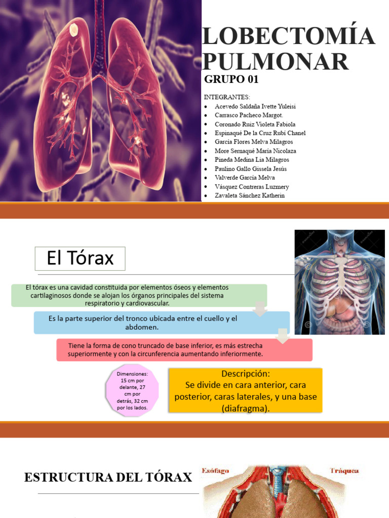 Lobectomia Pulmonar | PDF | Tórax | Pulmón