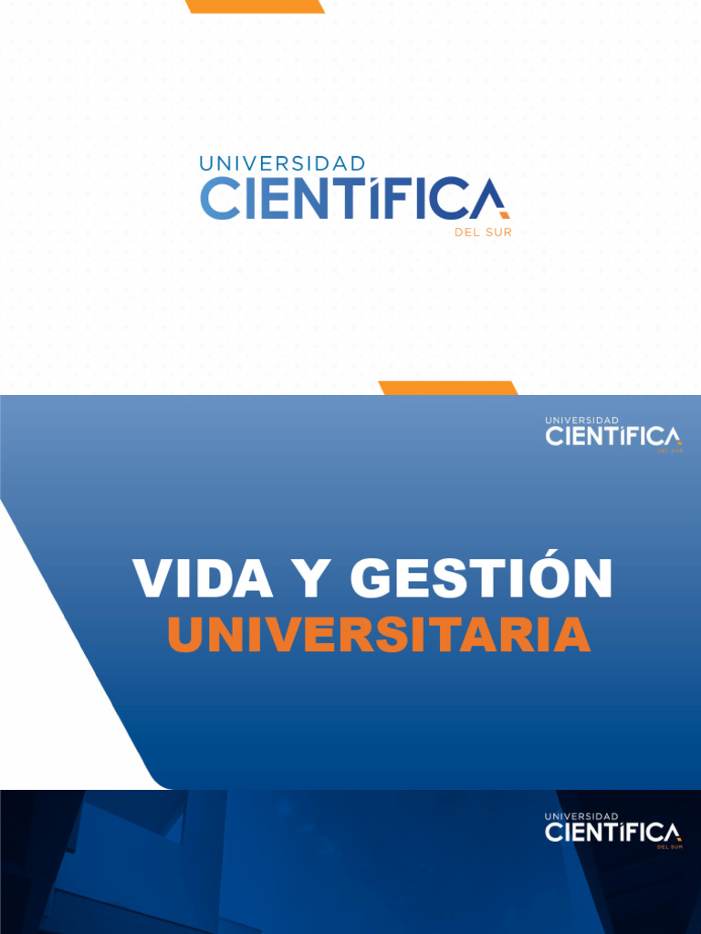 Actividades VGU 2024-1 | PDF