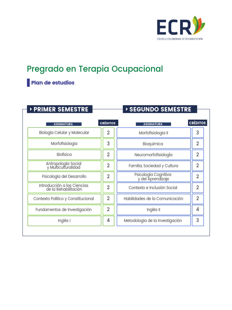 Terapia Ocupacional