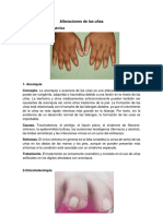 Anoniquia, Leuconiquia y Onicolisis: Causas y Tratamientos | PDF ...