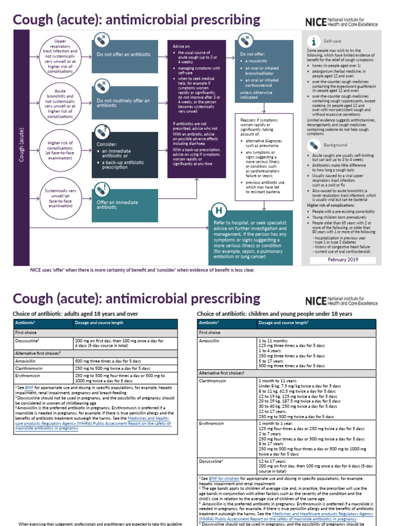 Visual Summary PDF 6664861405 | PDF | Cough | Bronchitis