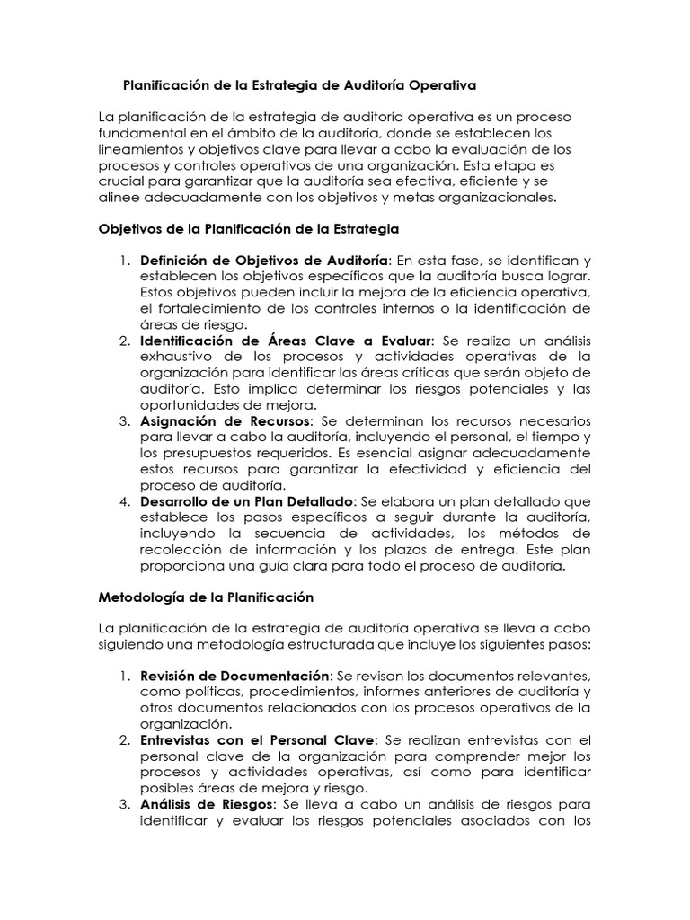 Proceso de La Auditoria Operativa | PDF | Auditoría | Planificación