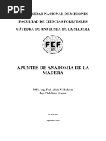 Diferencias entre coníferas y latifoliadas | PDF | Arboles | Hoja