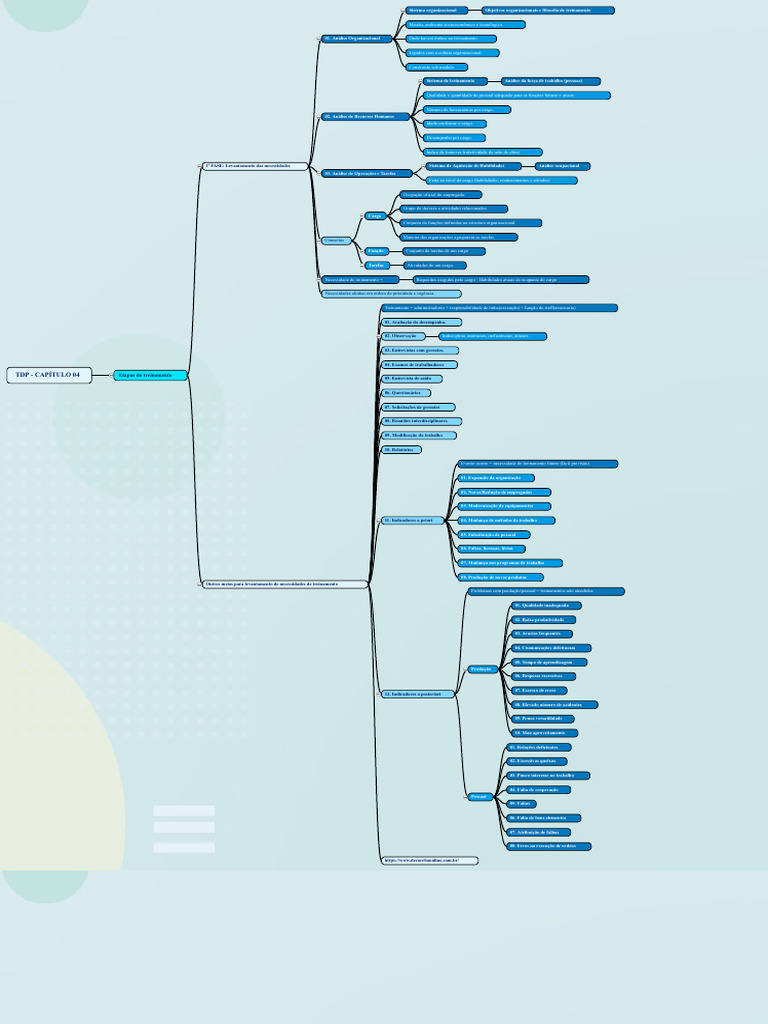 TDP - MAPA MENTAL - CAPÍTULO 04 | PDF | Rotatividade (emprego)