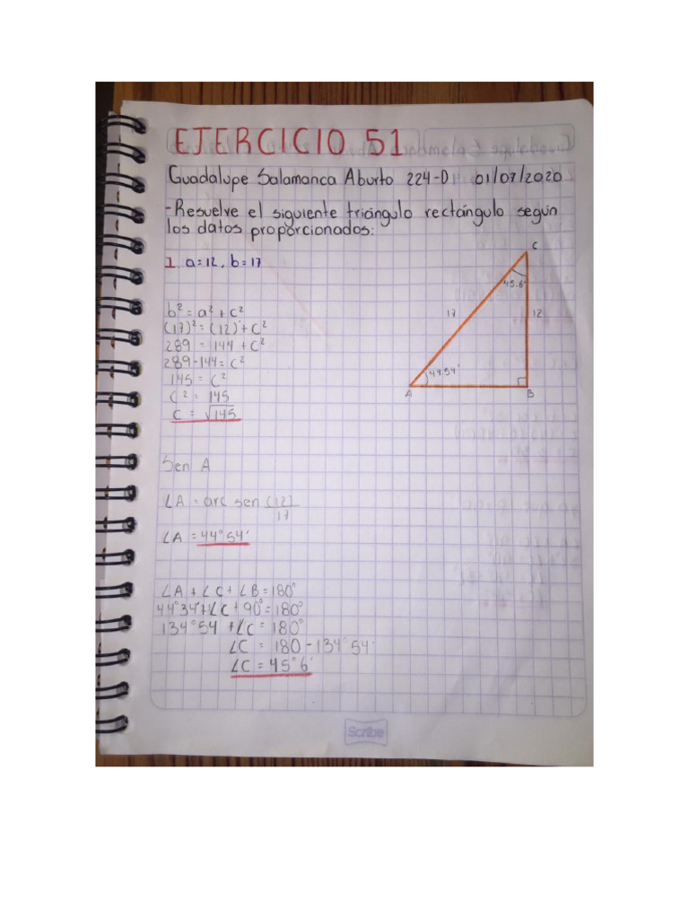 Ejercicio 51, 224-D Guadalupe Salamanca Aburto. | PDF