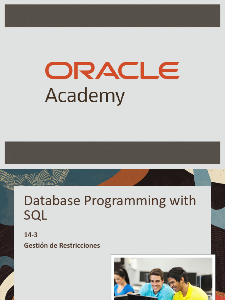 DP 14 3 Esp | PDF | Diseño de software | Datos de computadora