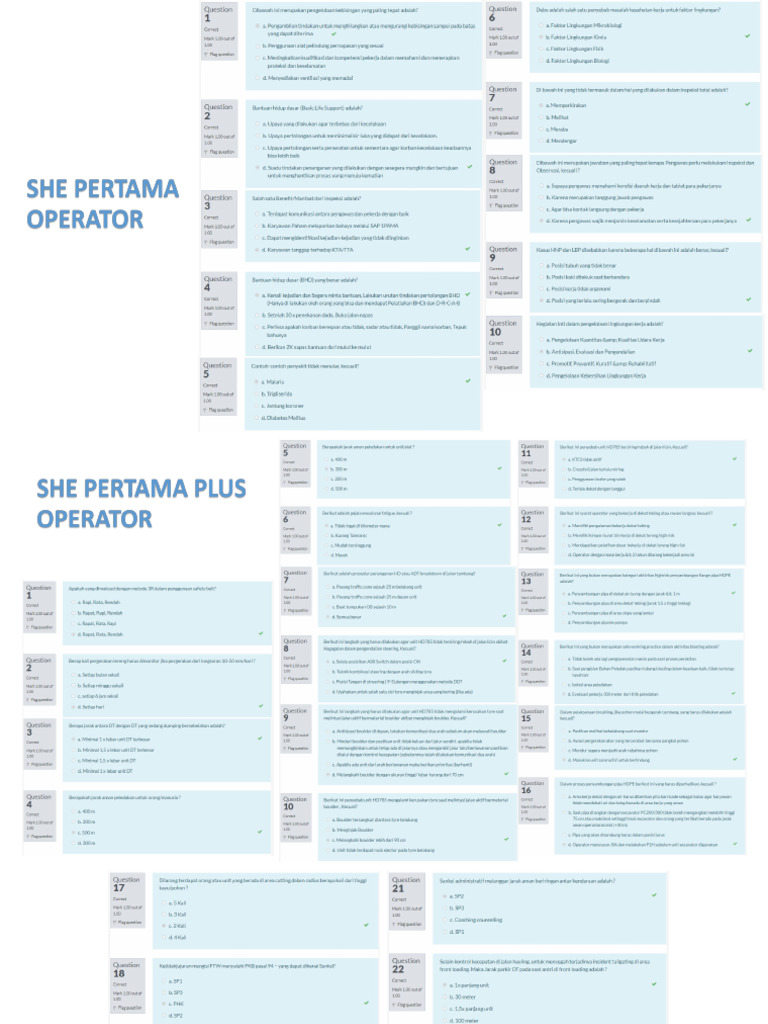 Kunci Jawaban She Pertama & Plus Operator | PDF