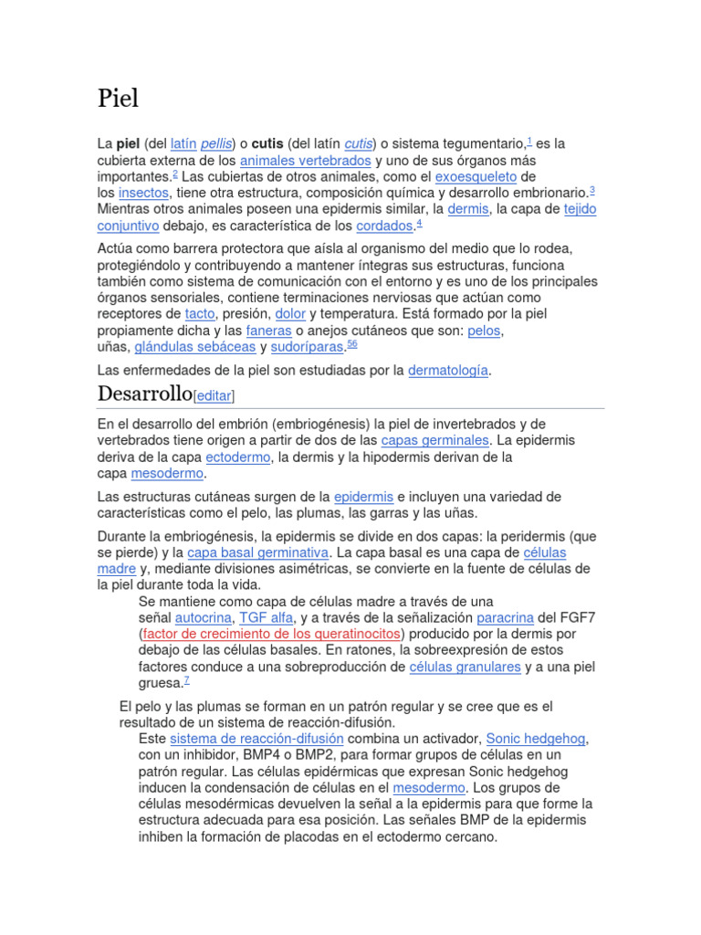 Piel | PDF | Piel | Epidermis