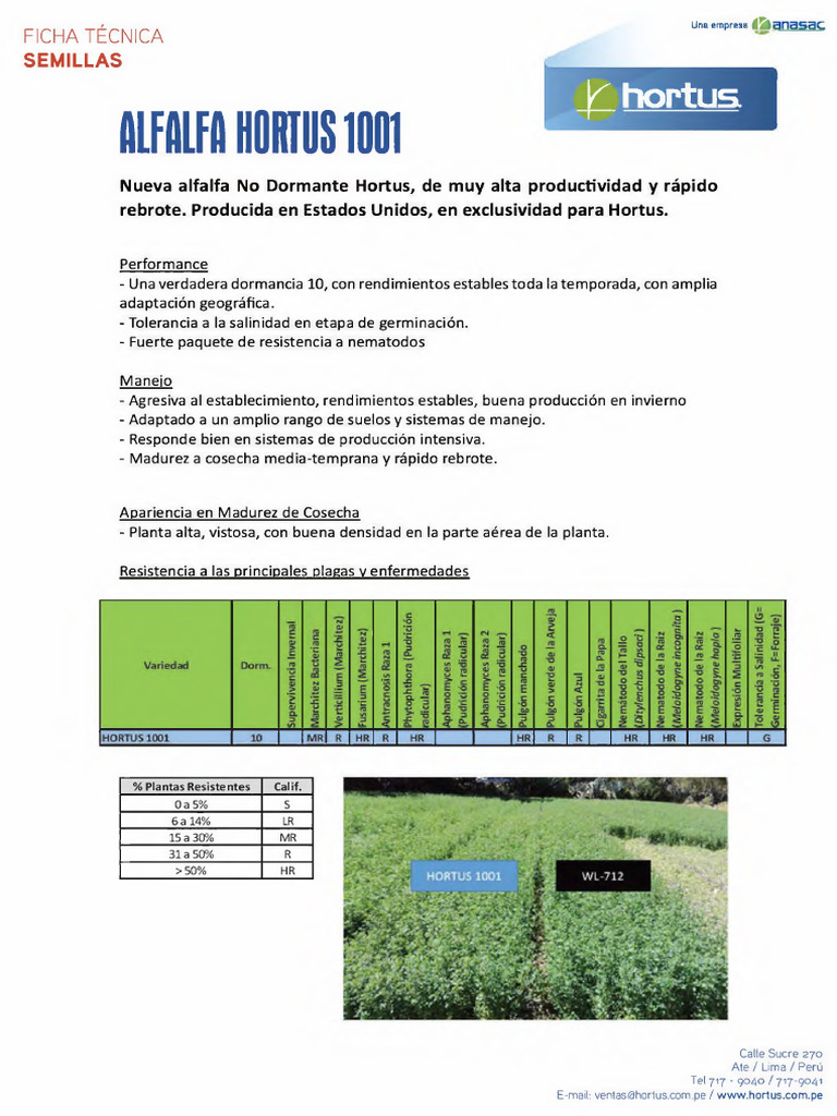FICHAS TECNICAS PASTOS | PDF | Pasto | Agricultura