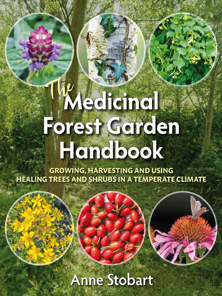 Anne Stobart - The Medicinal Forest Garden Handbook (2020) | PDF ...